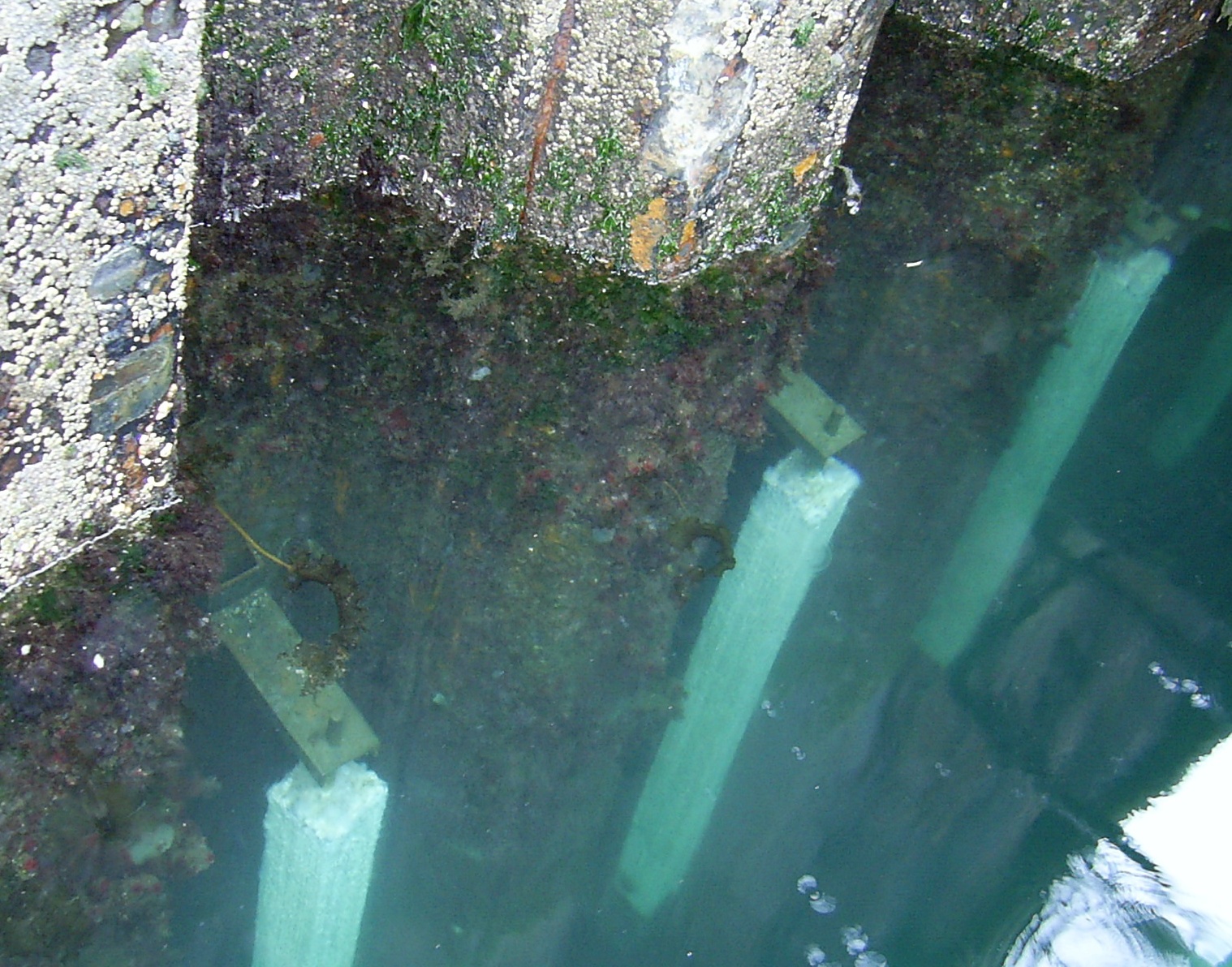 Experience - Corrosion Investigation & CP Design Services